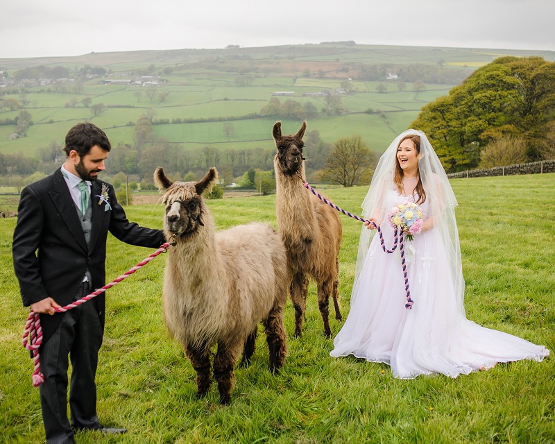 Animals at Weddings! - Bespoke Weddings